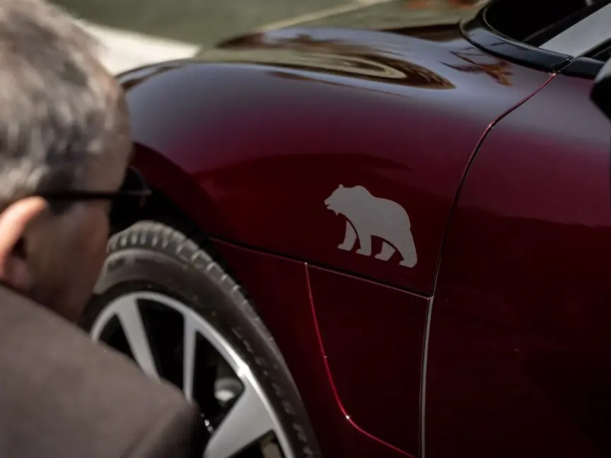 Bear Car Logo Tiny Little Car With A Teddy Bear Instead Of A Logo,